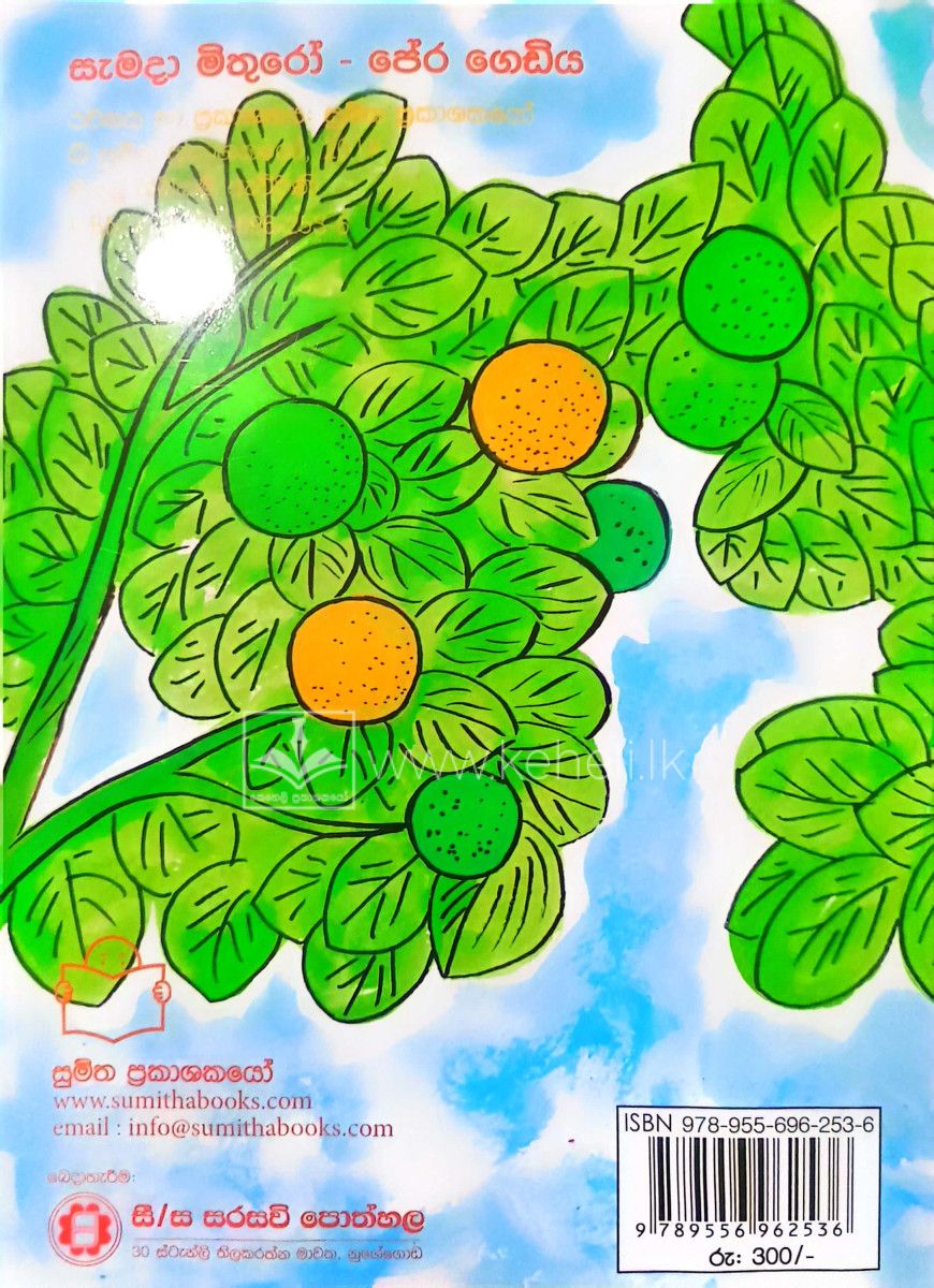 Pera gediya – පේර ගෙඩිය – Keheli.lk